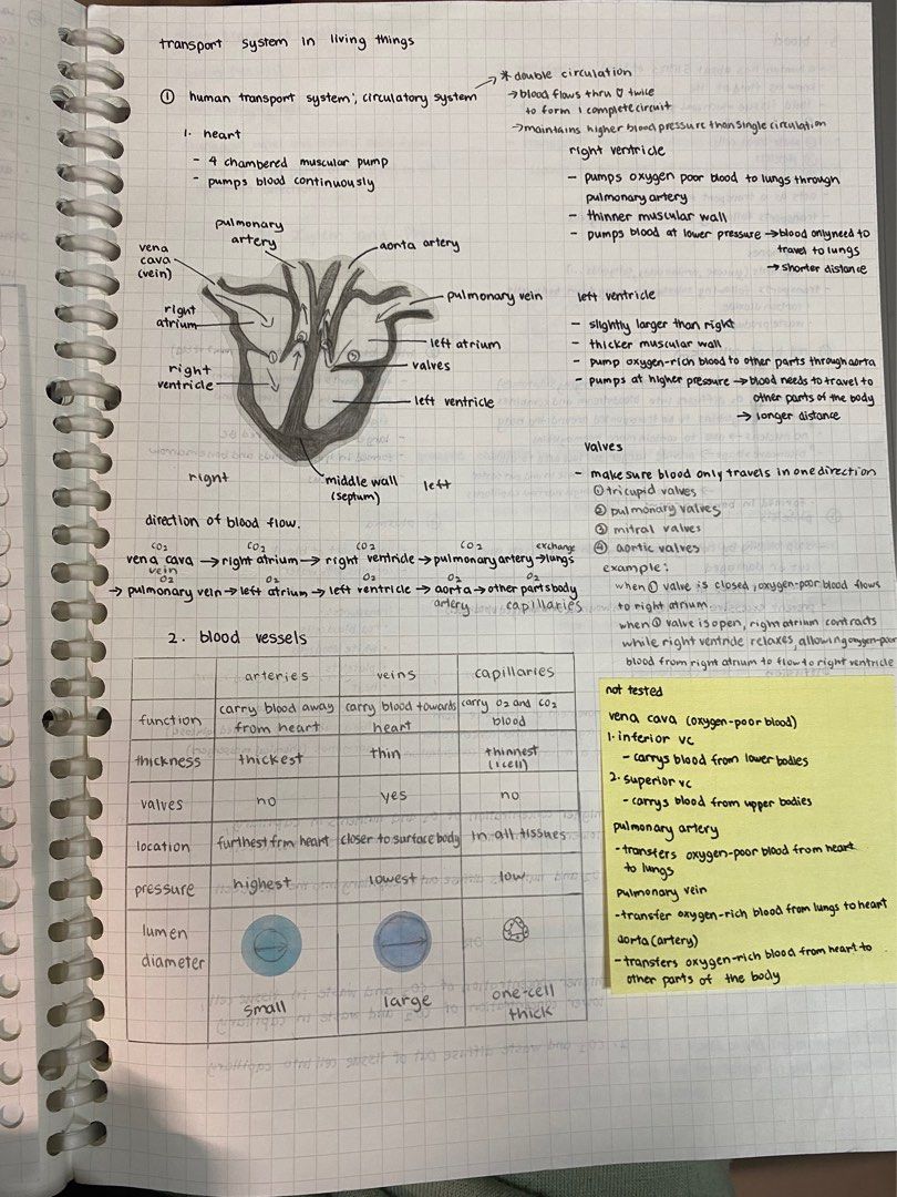 sec 2 science notes raffles girl school 2022 syllabus, Hobbies & Toys ...