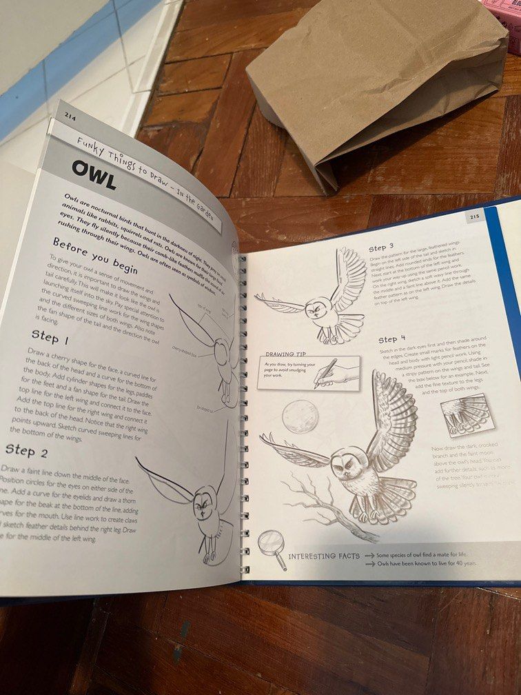 Ultimate Things to Draw - Drawing guide, Hobbies & Toys, Books ...