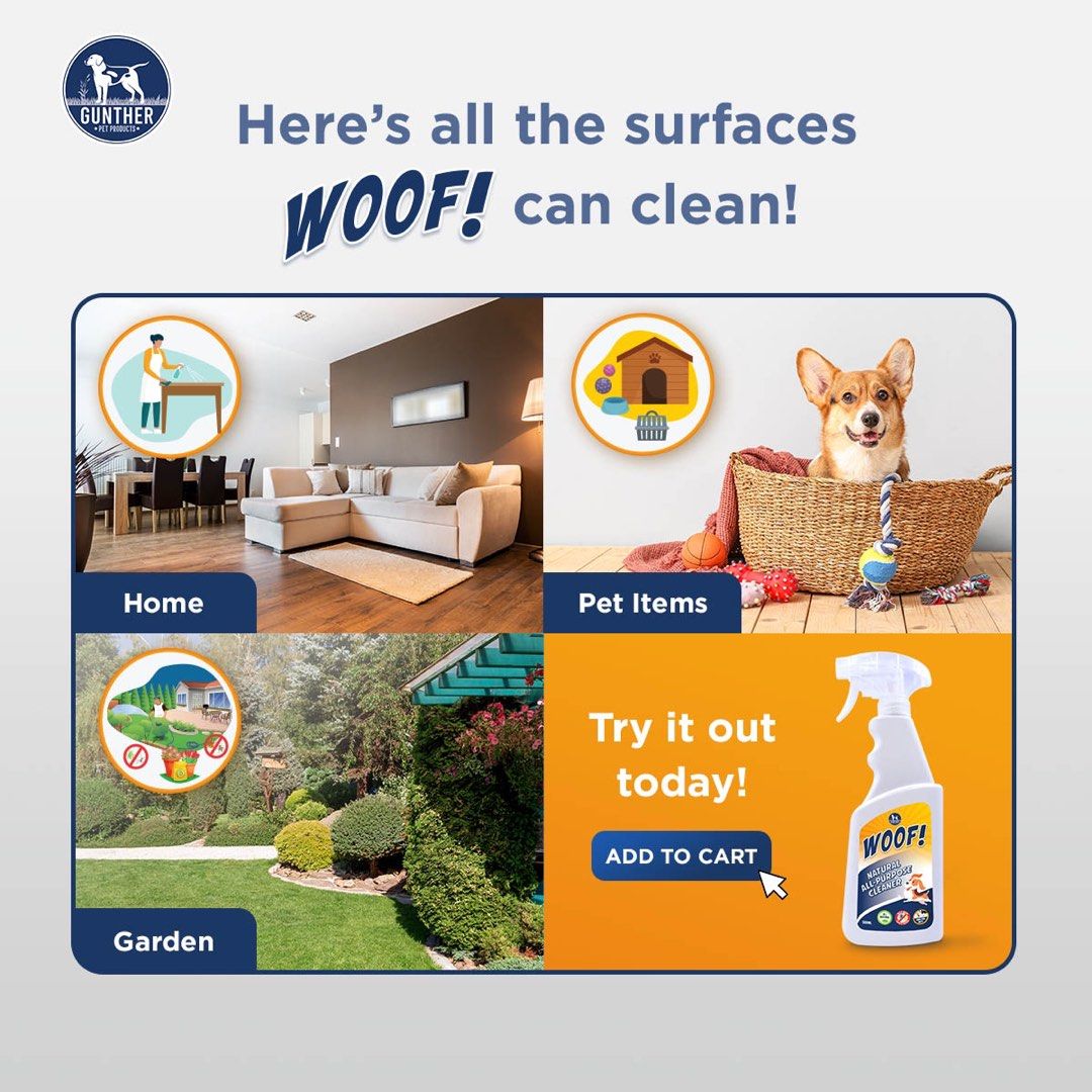 Woof! All-Purpose Cleaner Pet-Friendly, Furniture & Home Living ...