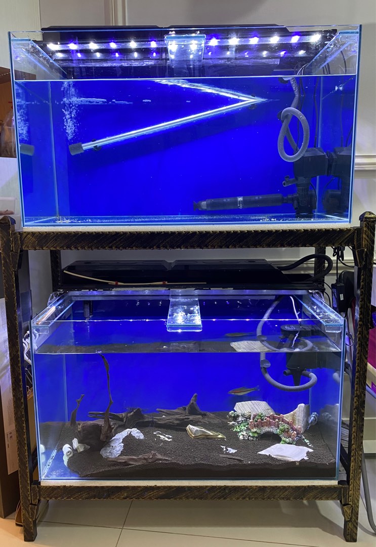 3ft fish tank, Pet Supplies, Homes & Other Pet Accessories on Carousell