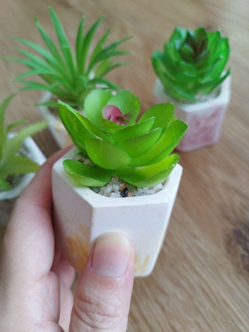 Artificial Flower miniso, ikea, Furniture & Home Living, Home Decor ...