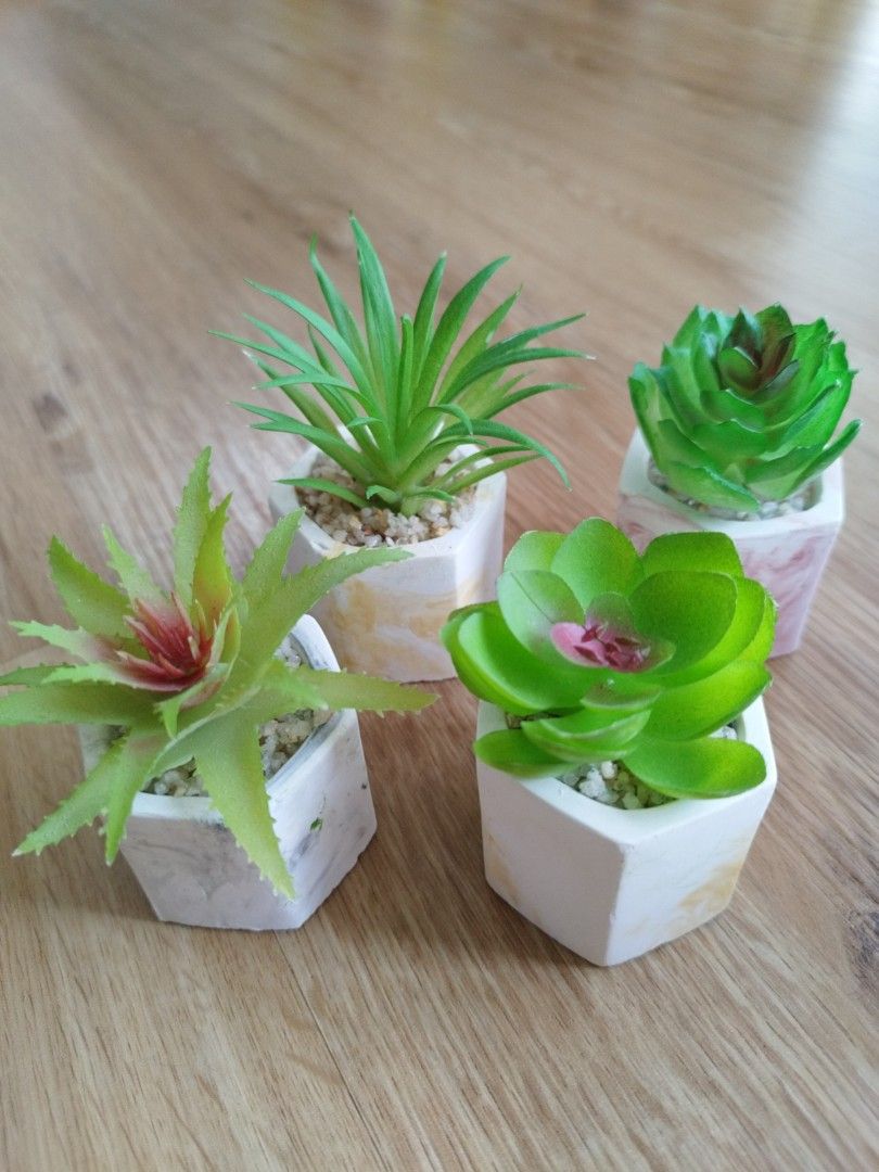 Artificial Flower miniso, ikea, Furniture & Home Living, Home Decor ...