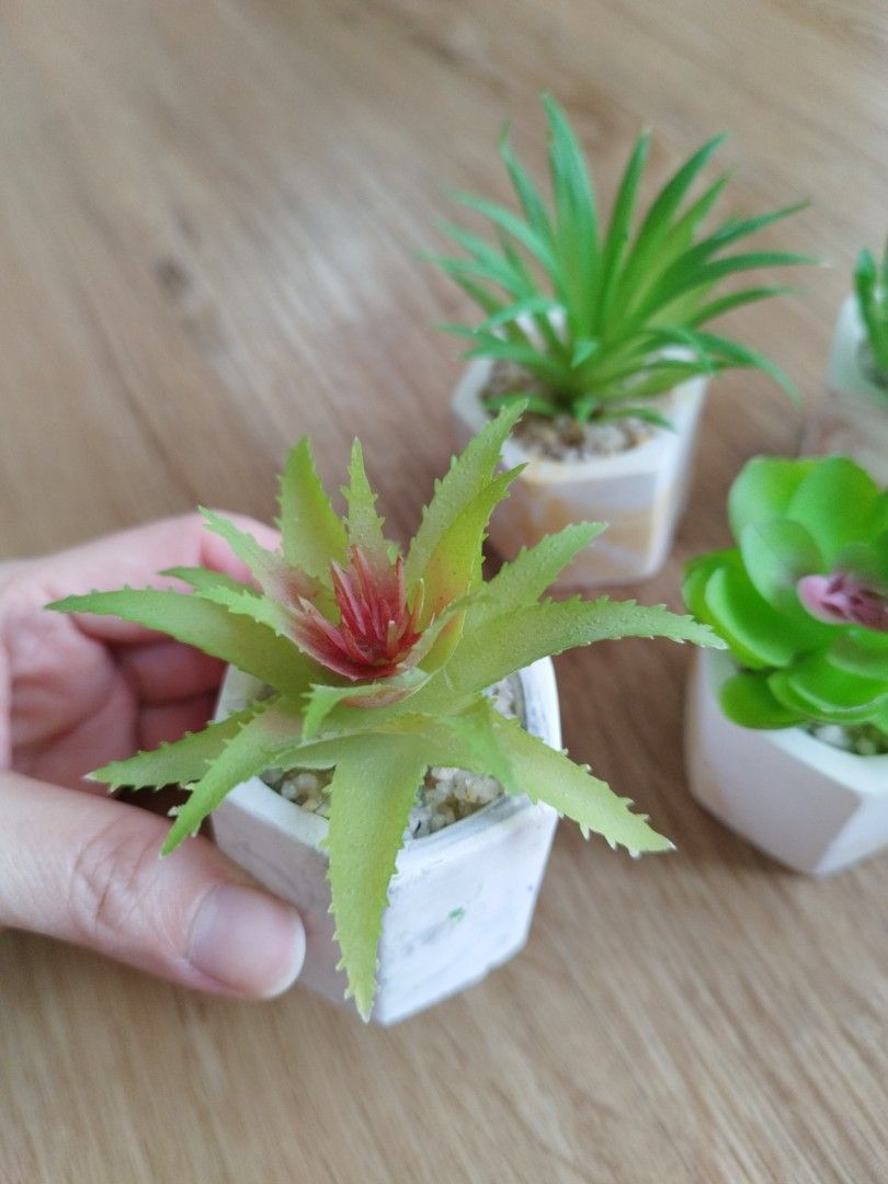 Artificial Flower miniso, ikea, Furniture & Home Living, Home Decor ...