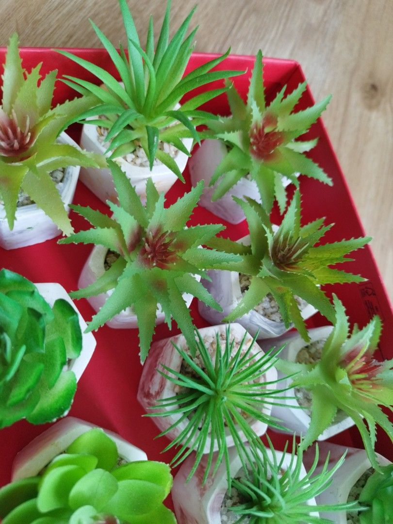 Artificial Flower miniso, ikea, Furniture & Home Living, Home Decor ...