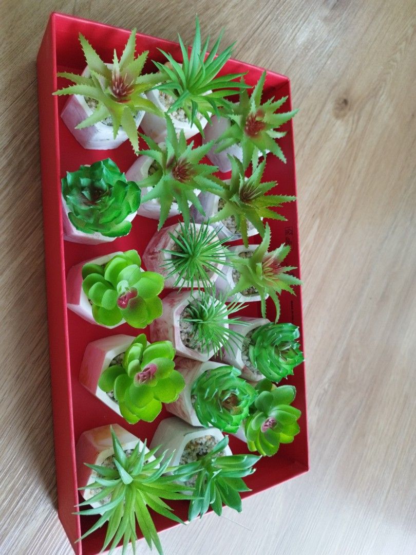 Artificial Flower miniso, ikea, Furniture & Home Living, Home Decor ...