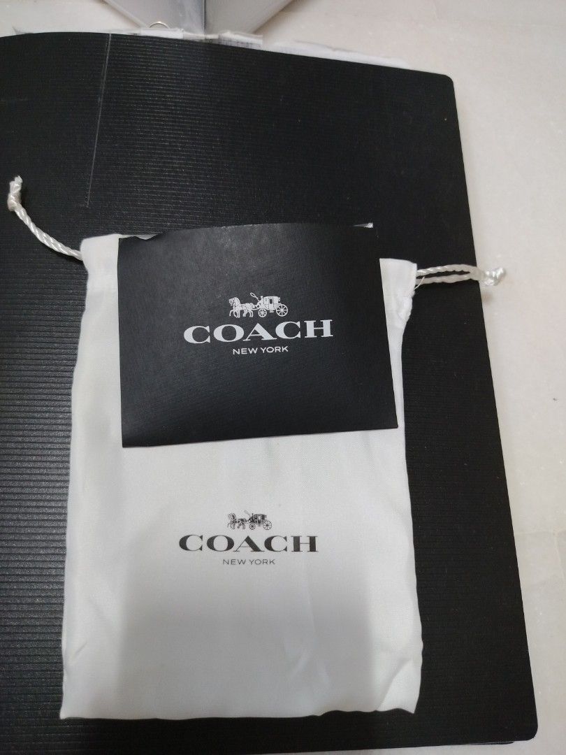 Coach Dinosaur Pin, Luxury, Accessories on Carousell