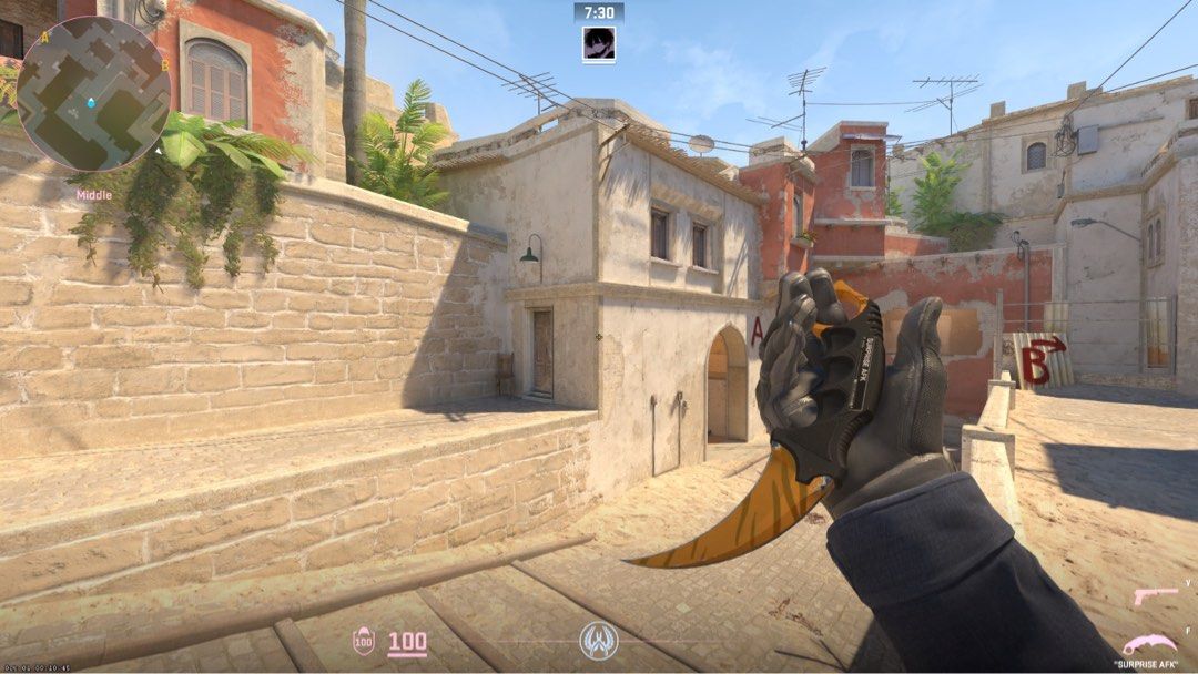 CSGO CS2 Karambit | Tiger Tooth (Factory New), Video Gaming, Gaming ...