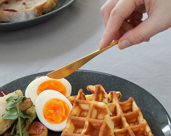 Cutipol MOON MATT GOLD x 2, 傢俬＆家居, 廚具和餐具, 餐具和餐具 - Carousell