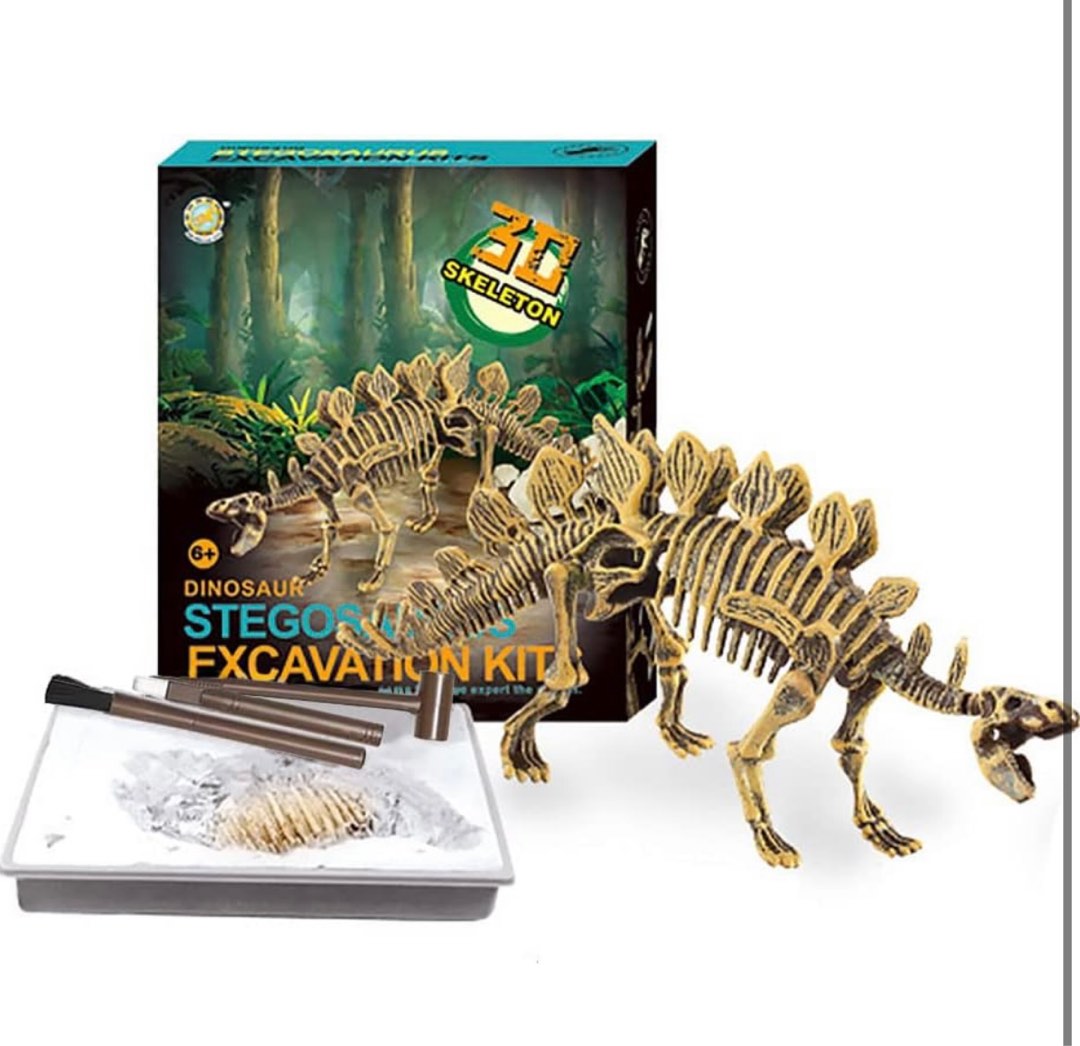 Dinosaur Stegosaurus Excavation Kit, Hobbies & Toys, Toys & Games on ...
