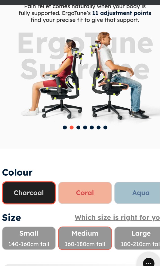 Ergotune Supreme V3 Ergonomic Chair, Furniture & Home Living, Furniture ...