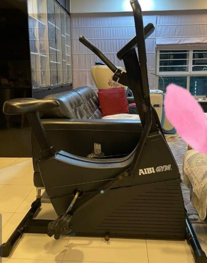 Free mini bicycle included| AIBI GYM BICYCLE EXERCISE MACHINE, Sports ...