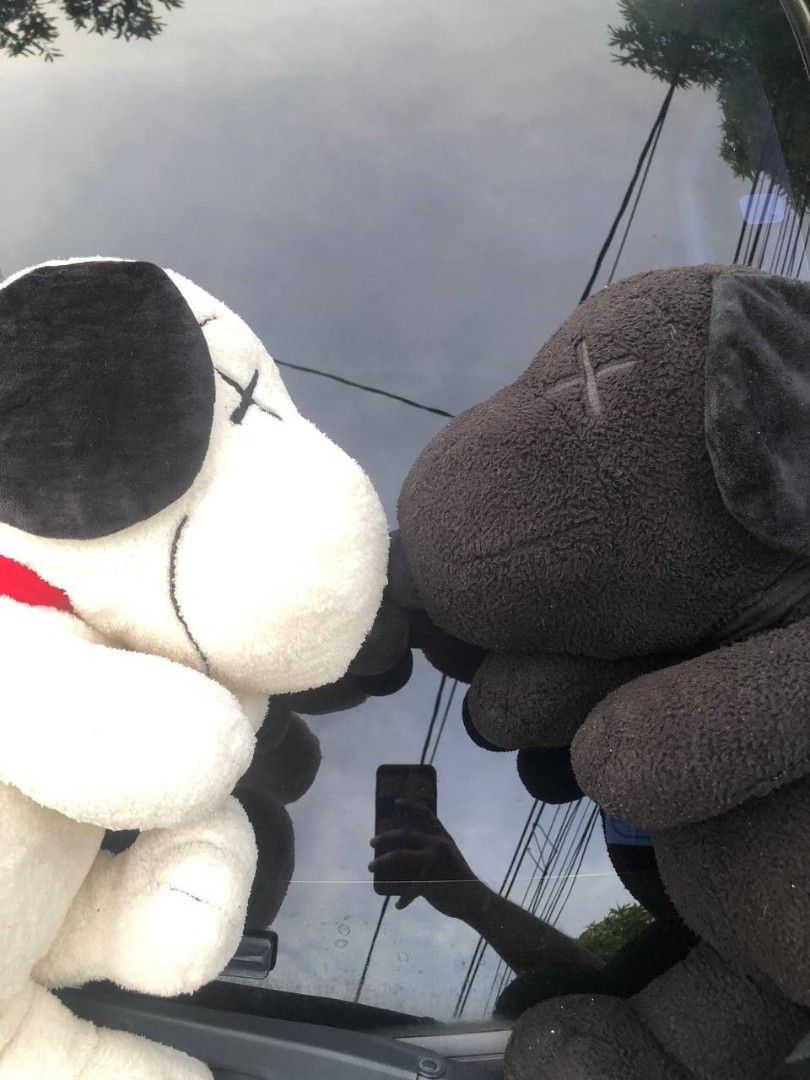 Kaws Snoopy plush, Hobbies & Toys, Toys & Games on Carousell