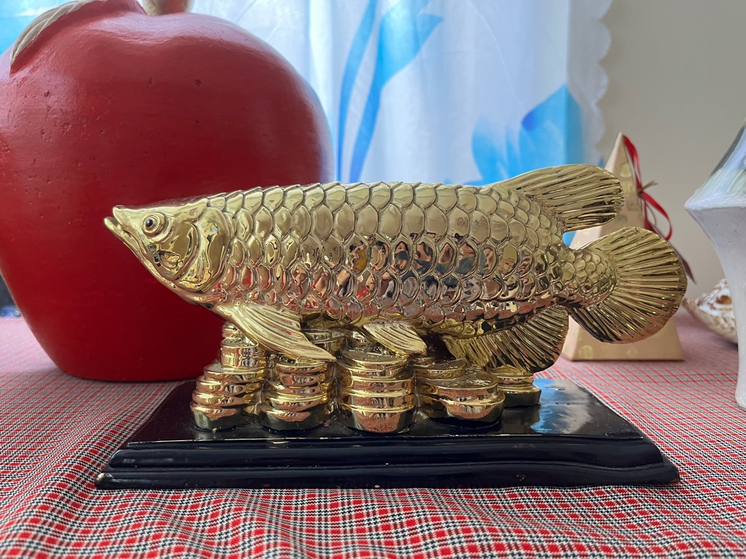 Lucky Fish Display Miniature for Business, Hobbies & Toys, Memorabilia ...