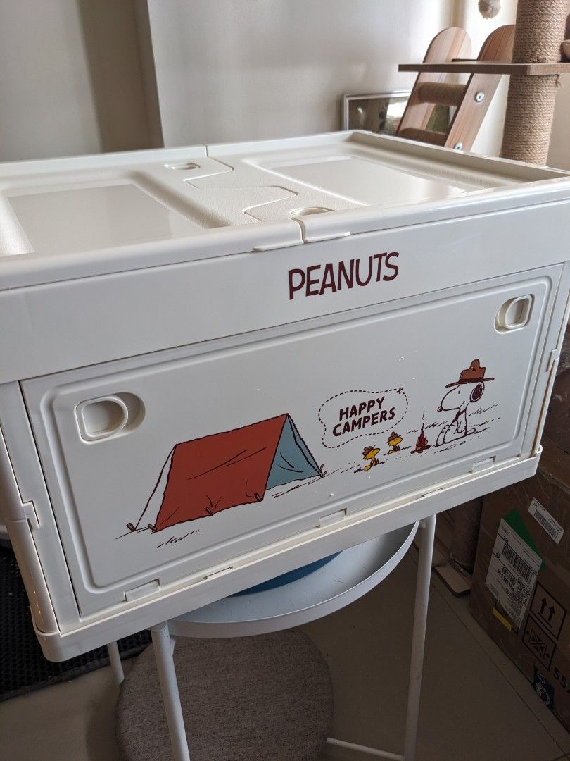 Peanuts Snoopy Foldable Utility Crate Storage Box, Hobbies & Toys ...