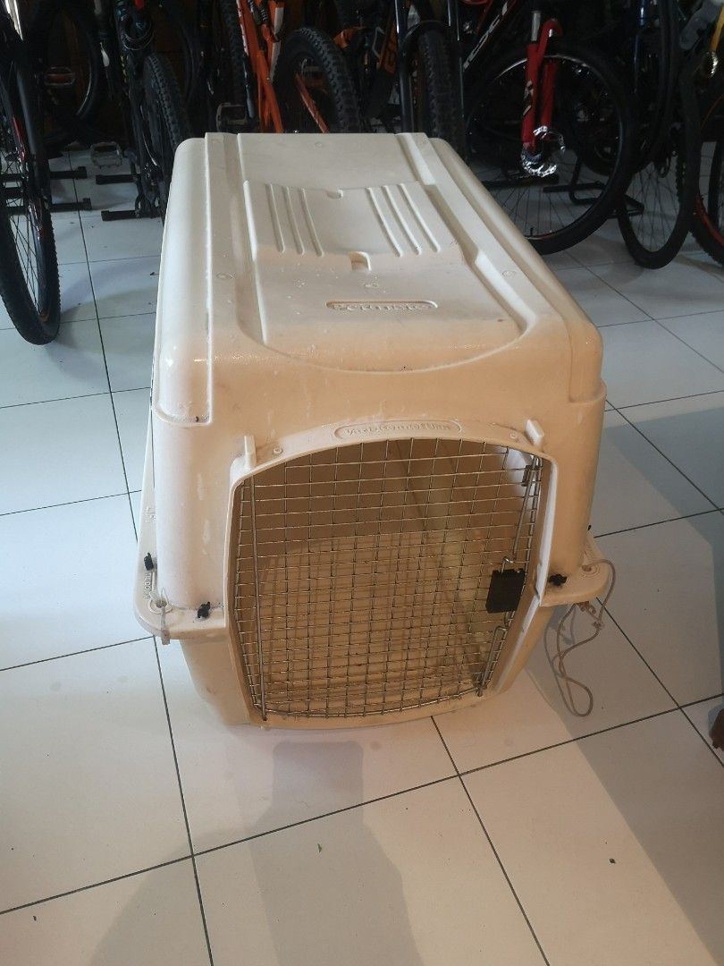 Pet Carrier, Pet Supplies, Homes & Other Pet Accessories on Carousell