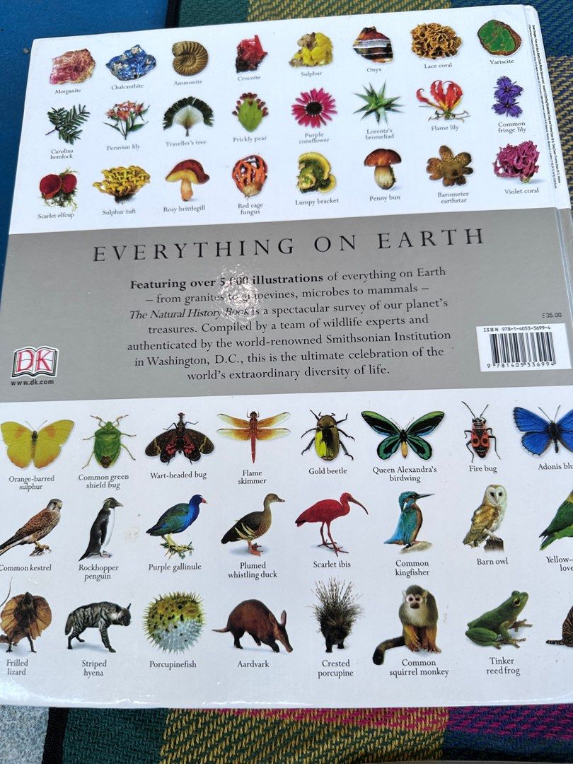 DK Science Encyclopedia, Hobbies & Toys, Books & Magazines, Children's ...