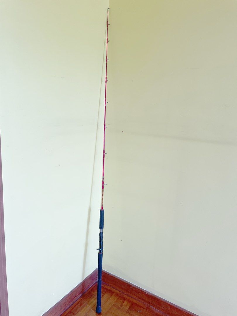 Zenith fishing rod, Sports Equipment, Fishing on Carousell