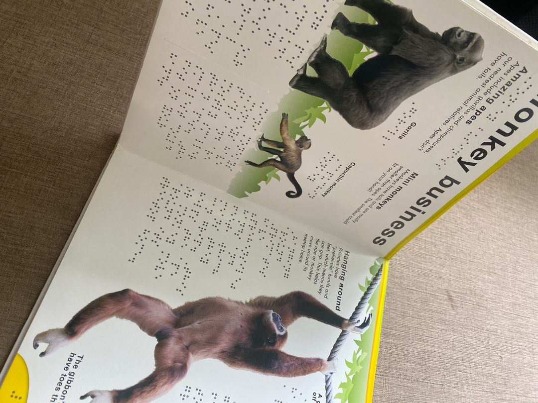 Braille book- Animals, Hobbies & Toys, Books & Magazines, Children's ...