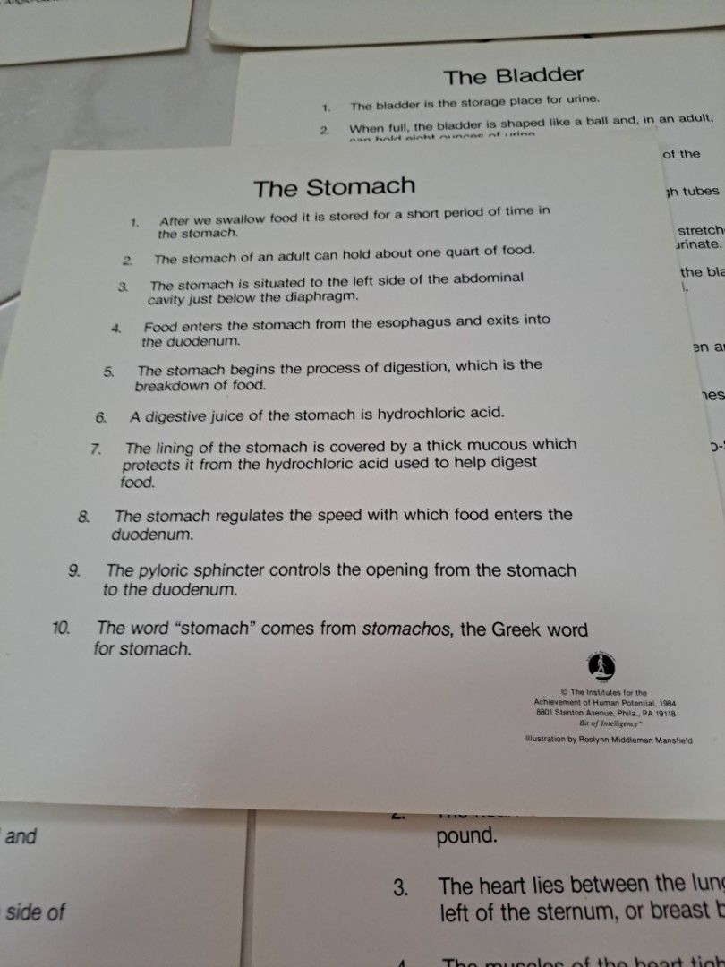 Bit of Intelligence Encyclopedia knowledge series large flash cards ...