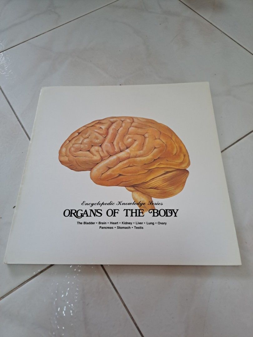 Bit of Intelligence Encyclopedia knowledge series large flash cards ...