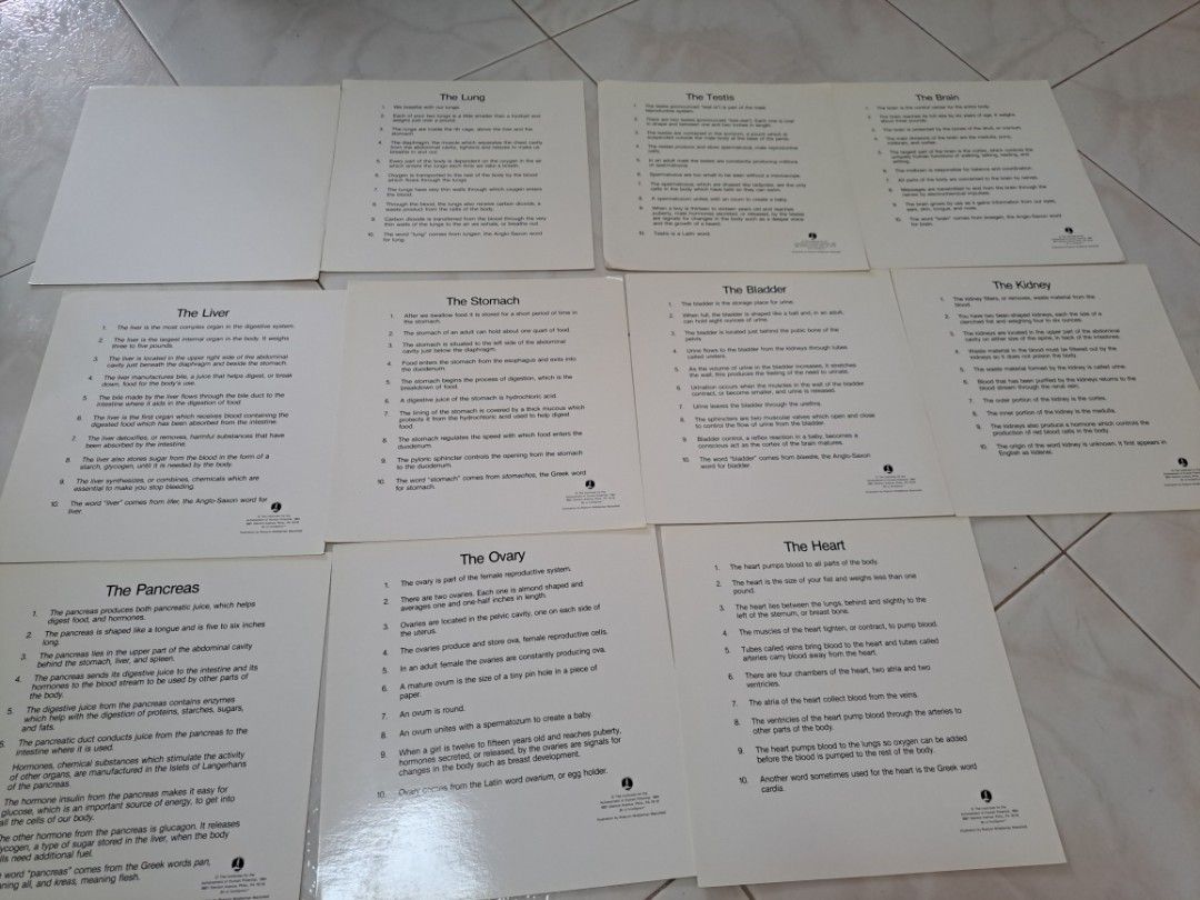 Bit of Intelligence Encyclopedia knowledge series large flash cards ...