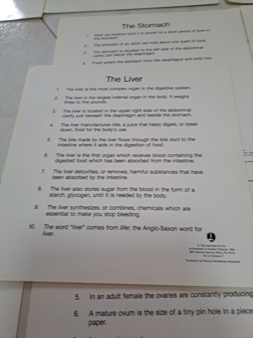 Bit of Intelligence Encyclopedia knowledge series large flash cards ...