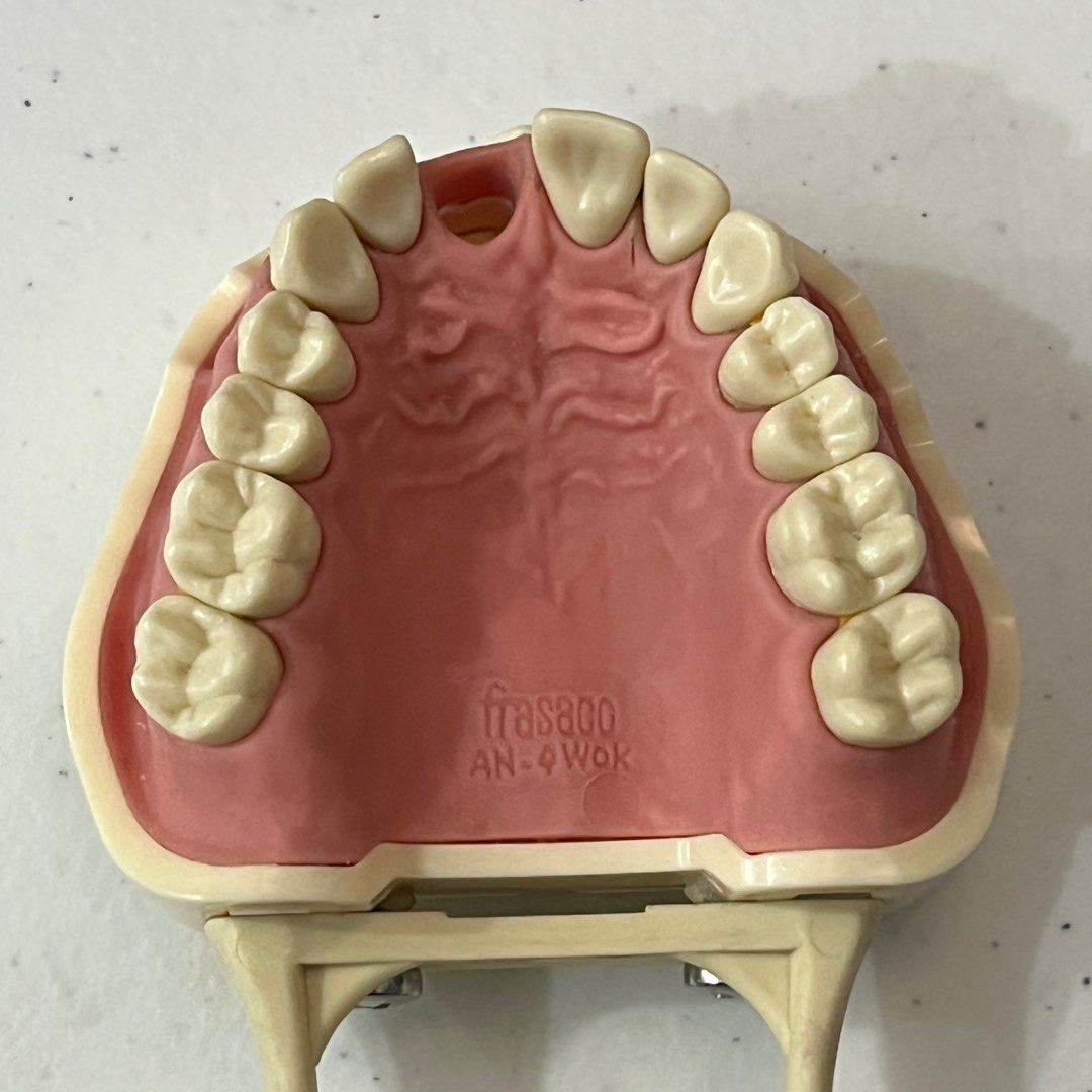 Frasaco Articulator, Health & Nutrition, Medical Supplies & Tools on ...