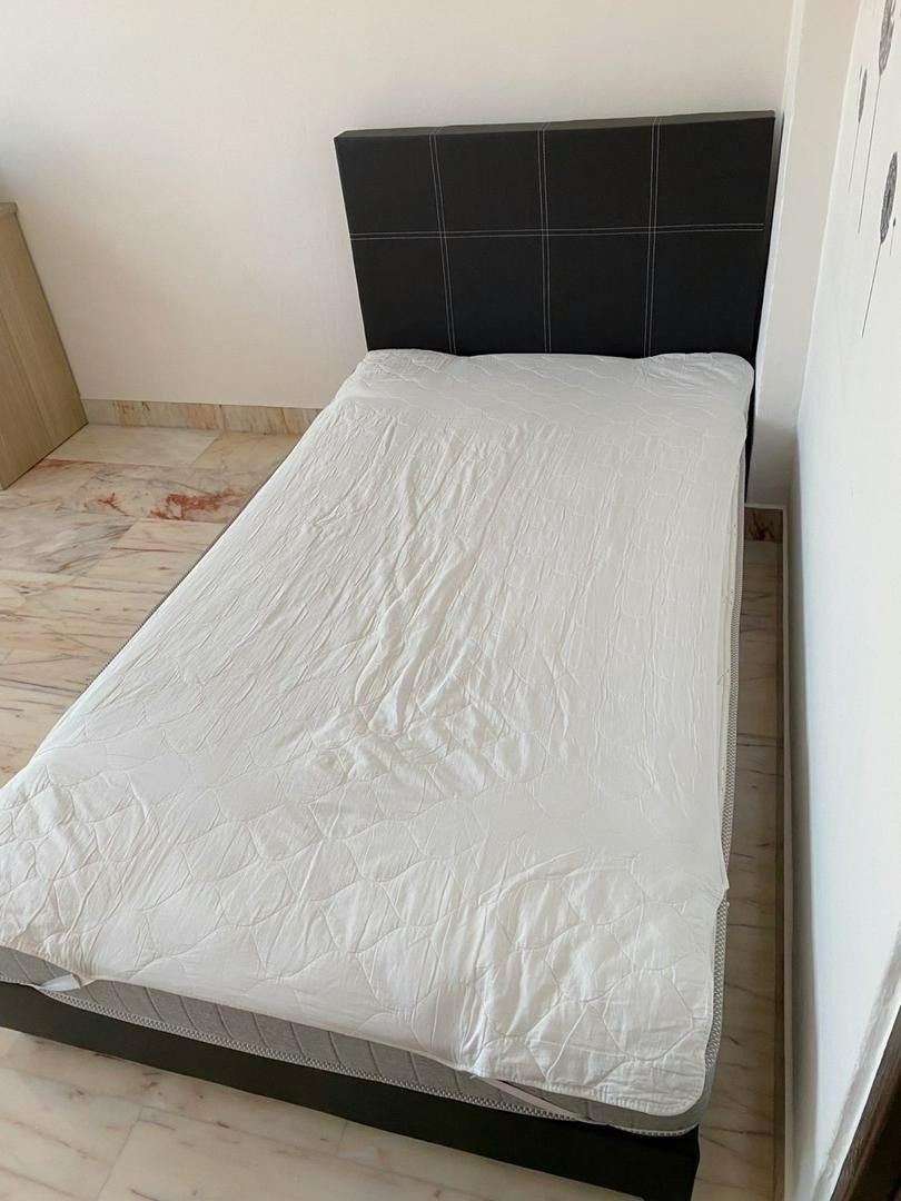 Single | Super Single | Queen | King Bed Frame, Furniture & Home Living ...