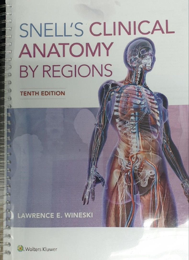 Snell's Clinical Anatomy by Regions 10th Ed - REPRINT, Hobbies & Toys ...