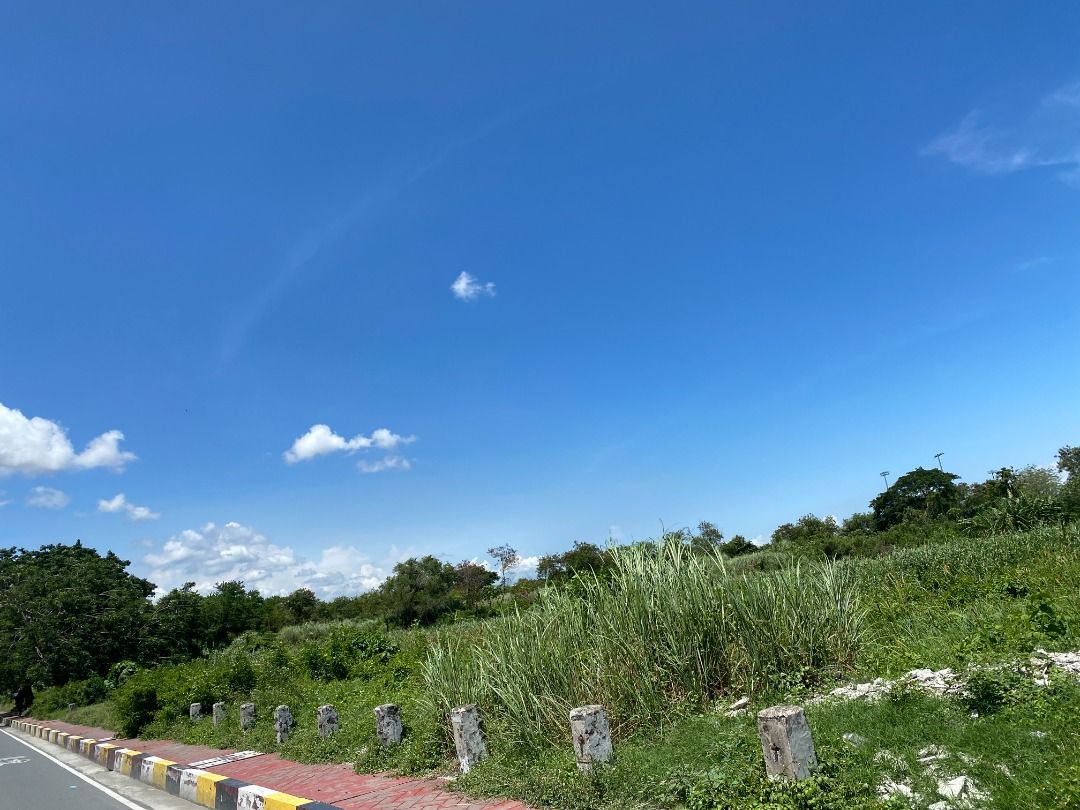 59000 Sqm Industrial Lot for Sale - Levi Mariano Ave. Brgy. Ususan ...