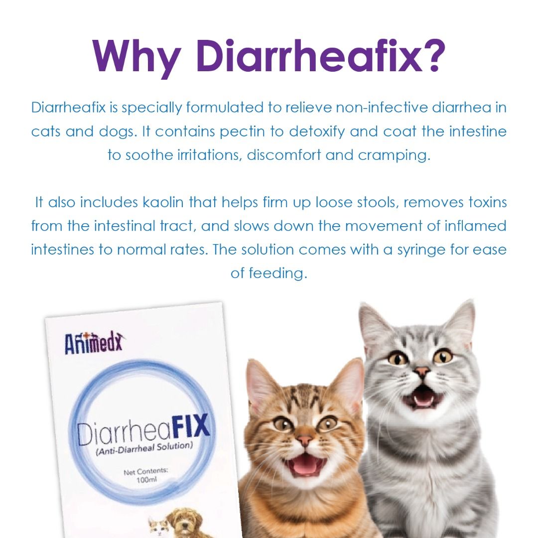 Animedx DiarrheaFix anti diarrheal solution for cat and dog 100ml, Pet ...
