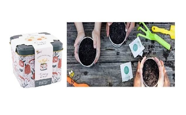 BUZZY Cactus Grow Kit in Tin Can includes Planter Seeds and Growing ...