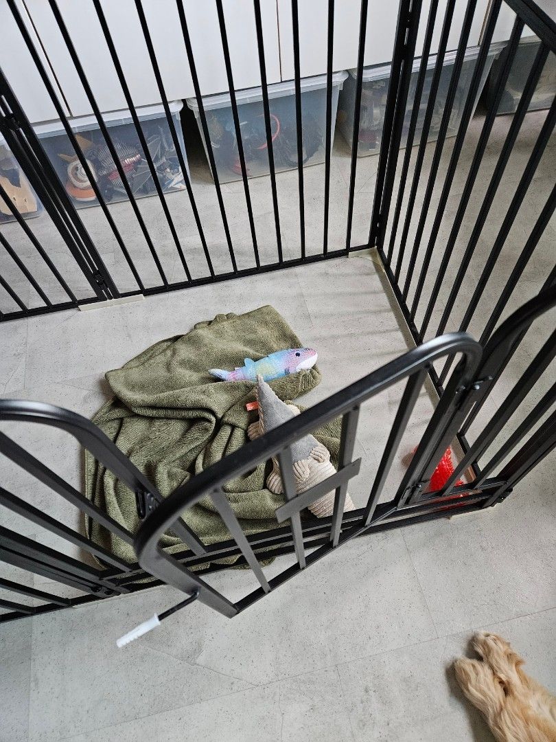 Dog cage / dog cradle, Pet Supplies, Homes & Other Pet Accessories on ...