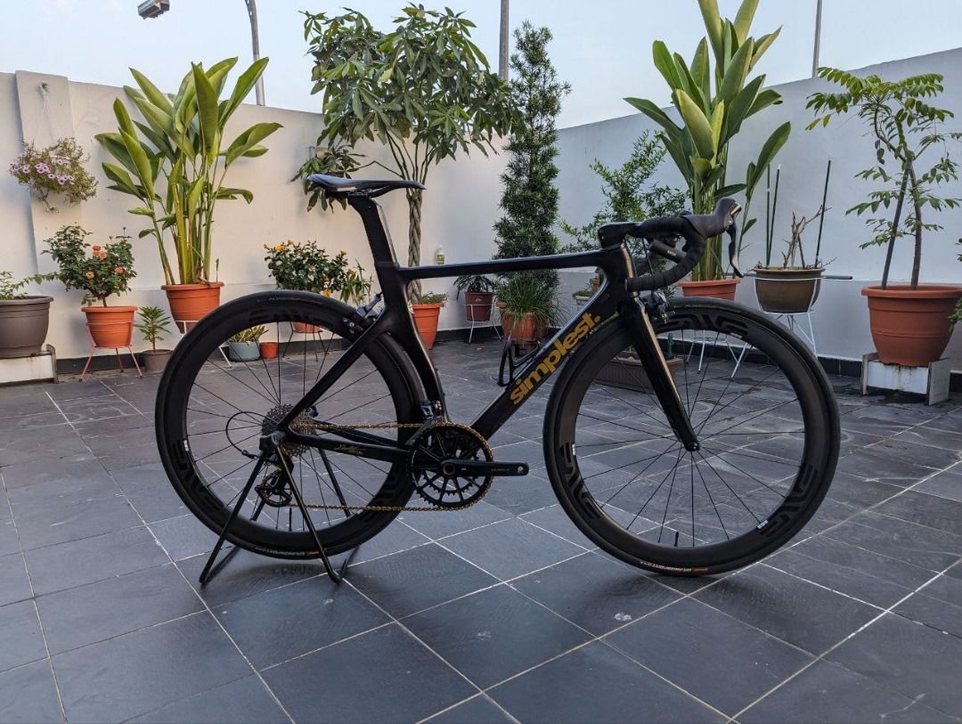 Fully Custom Carbon Twitter Thunder Road Bike, Sports Equipment ...