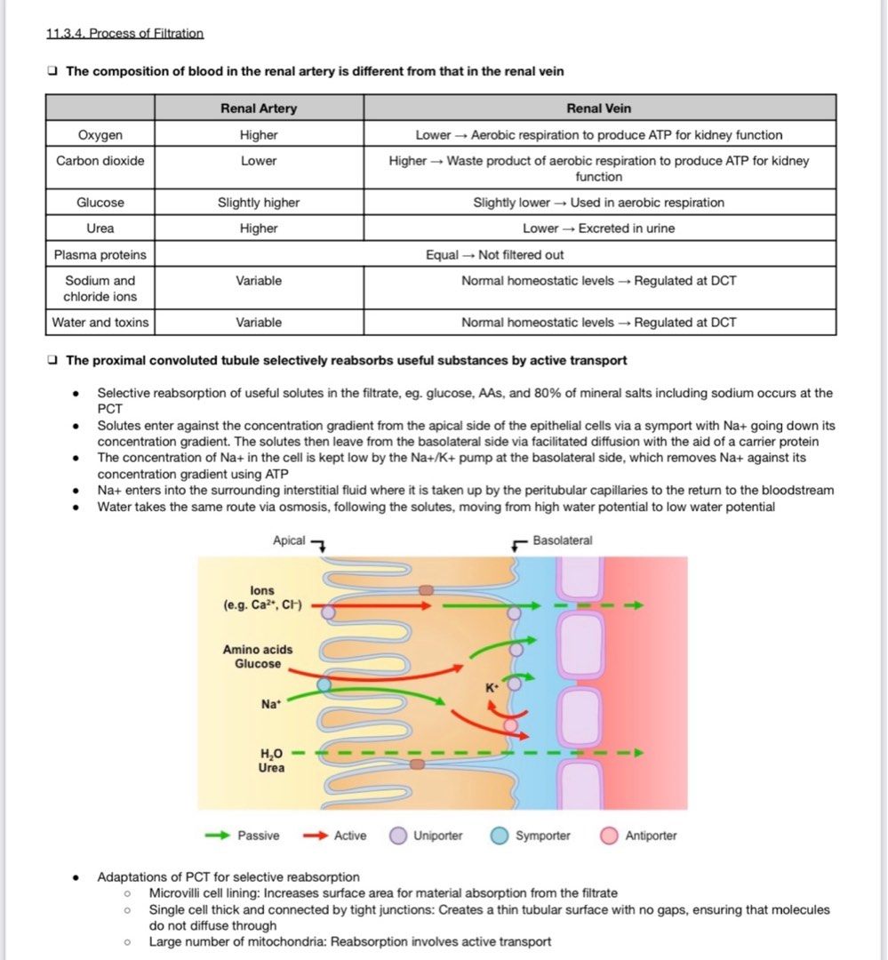 IB HL/SL biology notes, Hobbies & Toys, Books & Magazines, Assessment ...