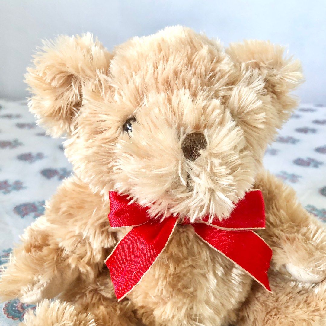 Keel toys teddy bear, Hobbies & Toys, Toys & Games on Carousell