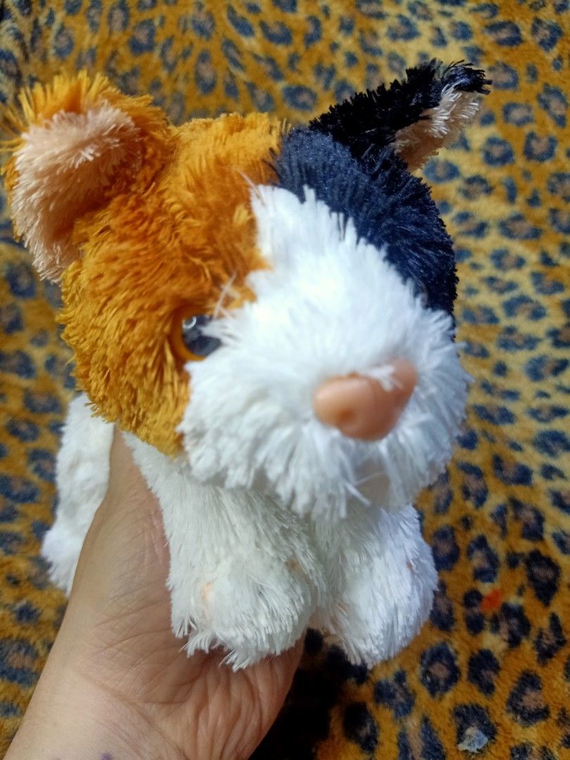 KID CONNECTION REALISTIC TRI-COLOR CAT PLUSH TOY, Hobbies & Toys, Toys ...