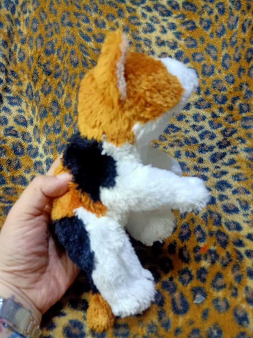 KID CONNECTION REALISTIC TRI-COLOR CAT PLUSH TOY, Hobbies & Toys, Toys ...