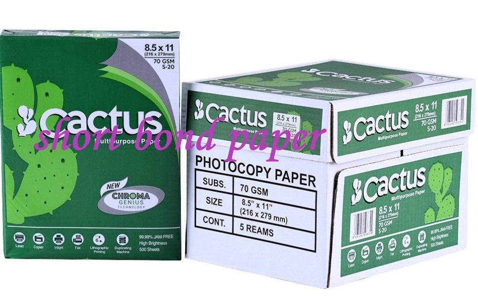 Multi Purpose Cactus Bond Paper- affordable and with high quality ...