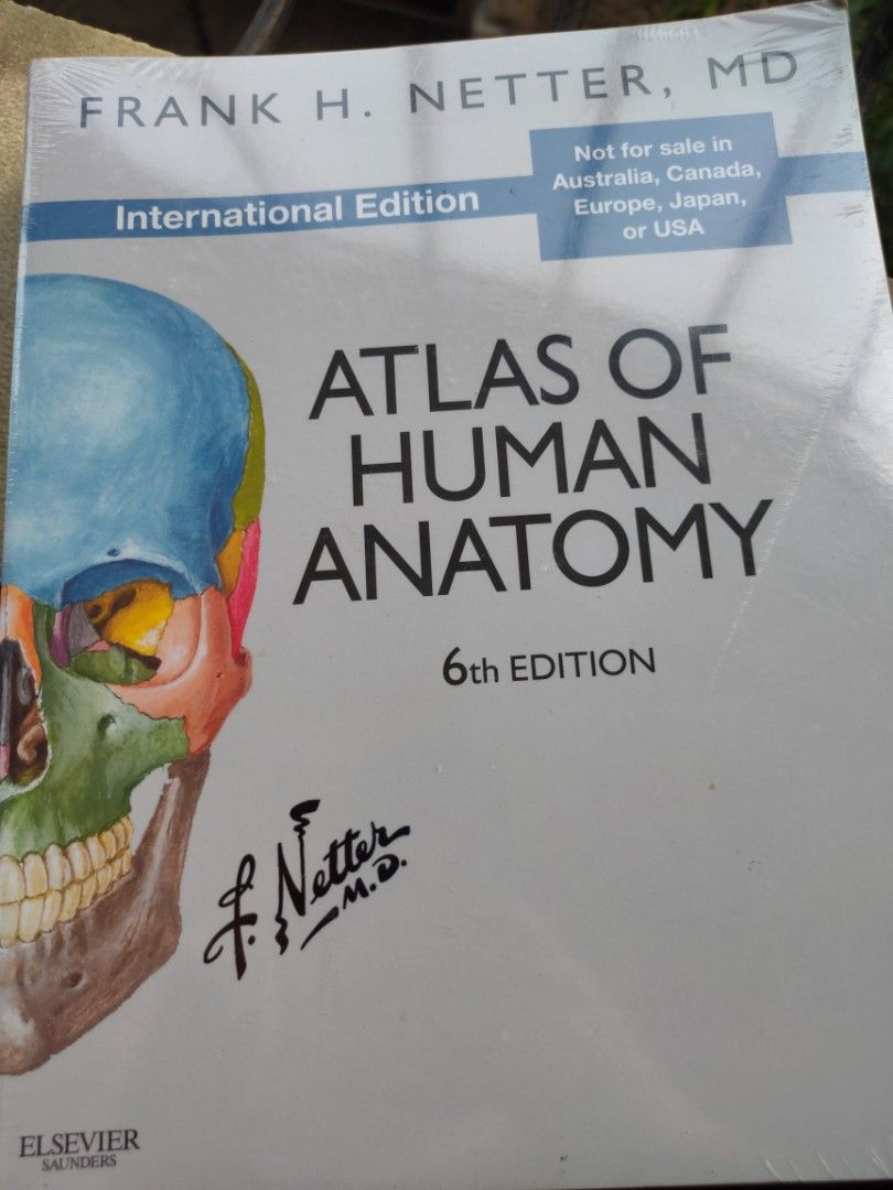 Netters Atlas of Human Anatomy 6th edition, Hobbies & Toys, Books ...
