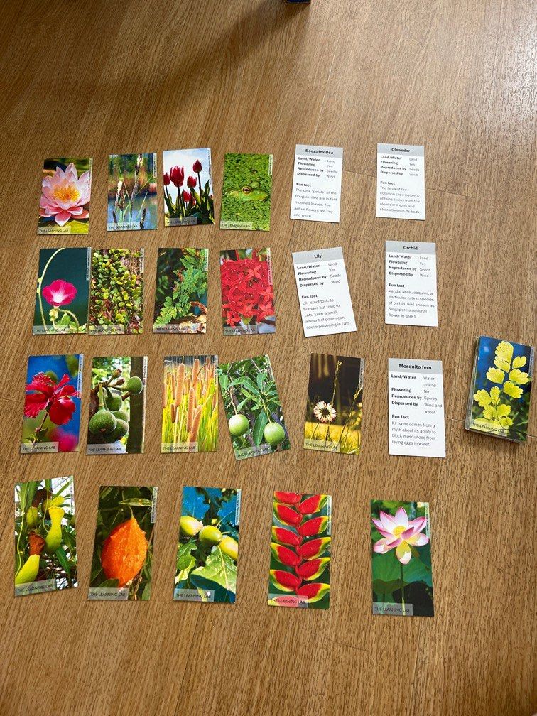 P3 / P4 Science - Fun facts on all plants Flash Cards( Enrichment ...