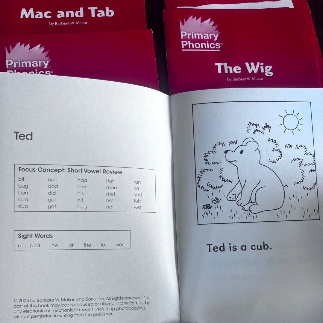 Primary Phonics Set 1, Hobbies & Toys, Books & Magazines, Children's ...