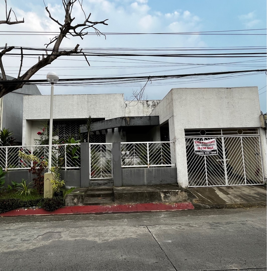 Property for Sale in Molave Park Paranaque, Property, For Sale, House ...