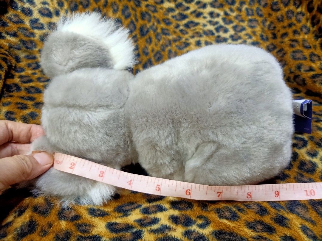 SUMA COLLECTION BEAUTIFUL REALISTIC KOALA BEAR PLUSH TOY, Hobbies ...
