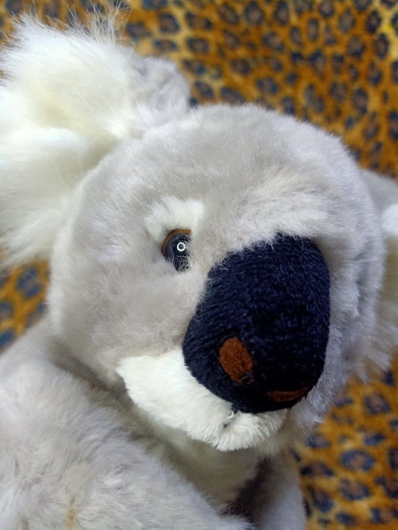 SUMA COLLECTION BEAUTIFUL REALISTIC KOALA BEAR PLUSH TOY, Hobbies ...