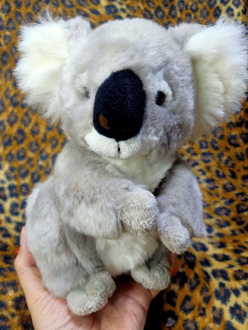 SUMA COLLECTION BEAUTIFUL REALISTIC KOALA BEAR PLUSH TOY, Hobbies ...