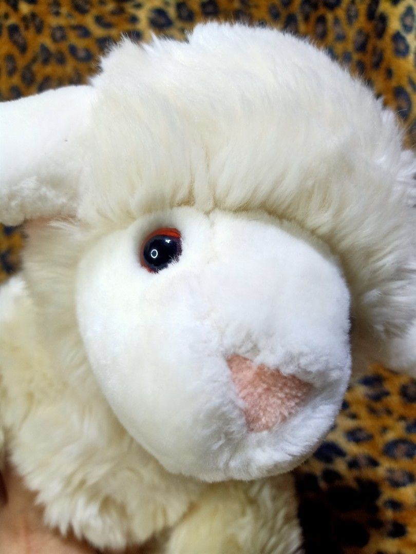 VERY BEAUTIFUL LARGE SIZE COTTON WHITE LAMB / SHEEP PLUSH TOY BY BEAR ...
