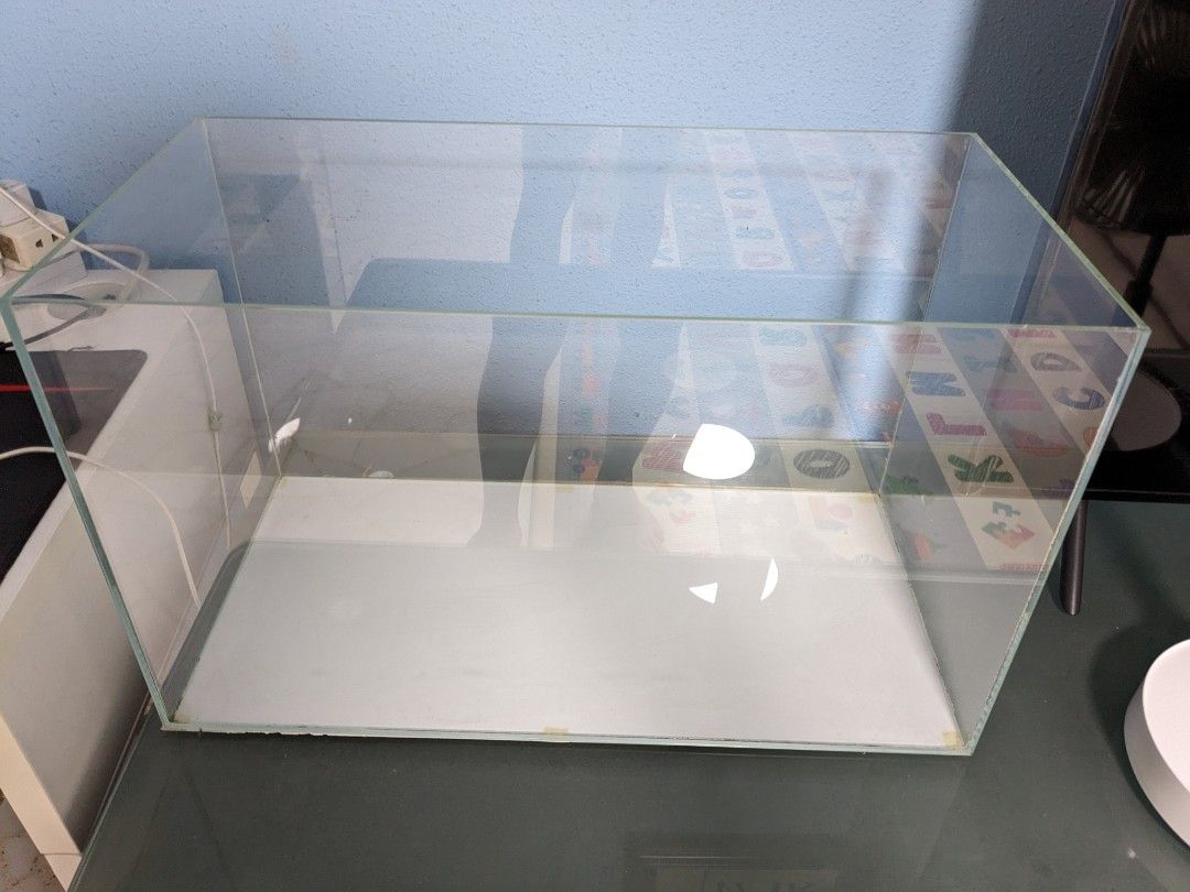 2ft fish tank, Pet Supplies, Homes & Other Pet Accessories on Carousell