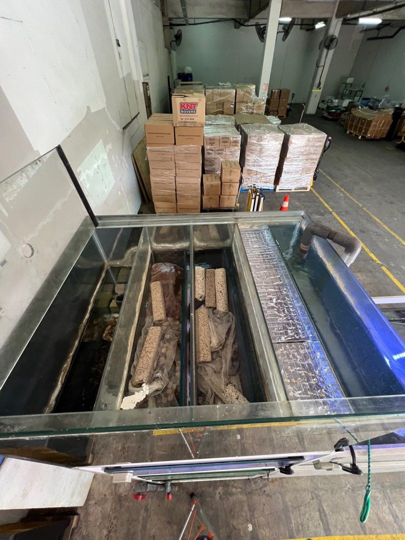 3 Tier Fish Tank, Pet Supplies, Homes & Other Pet Accessories on Carousell