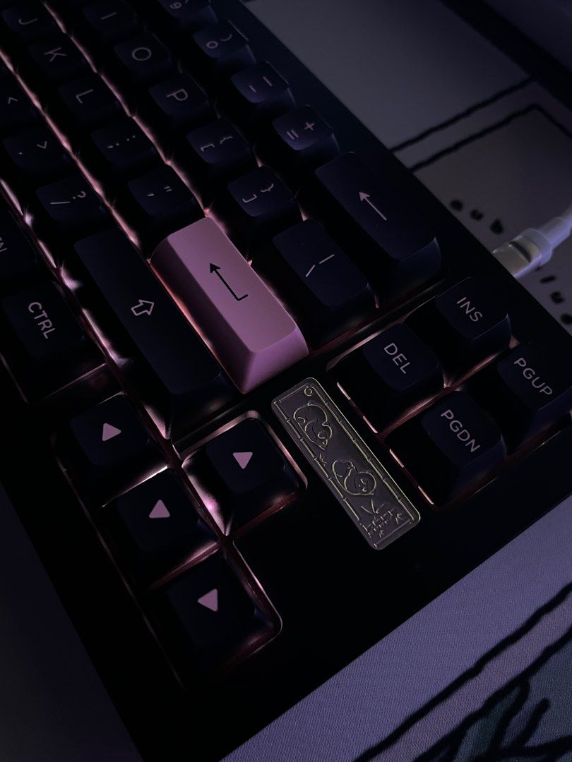 AKKO ACR Pro 68 — Acrylic Gasket Mount Mechanical Keyboard in Black ...